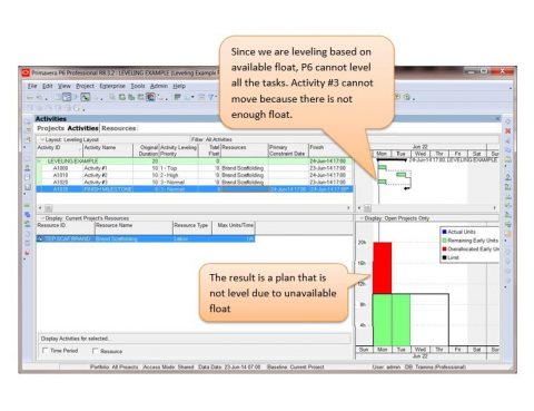 Using the Leveling Functionality in Primavera | TEPCO Solutions