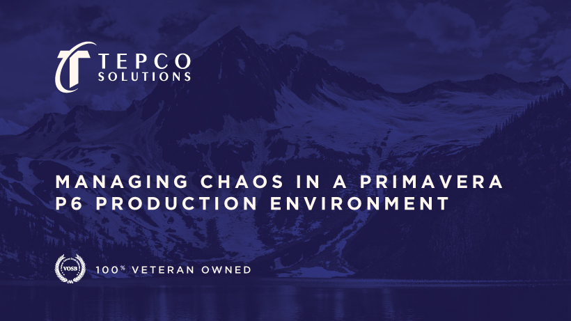 Managing Chaos in a Primavera P6 Production Environment | TEPCO Solutions