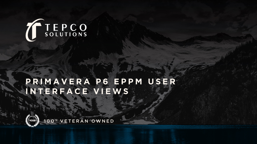 Primavera P6 EPPM User Interface Views | TEPCO Solutions