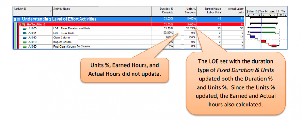 Understanding How to Use level of Effort Activities | TEPCO Solutions
