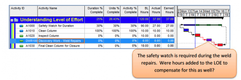 Understanding How to Use level of Effort Activities | TEPCO Solutions