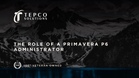 The Role of a Primavera P6 Administrator | TEPCO Solutions