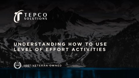 Understanding How to Use level of Effort Activities | TEPCO Solutions