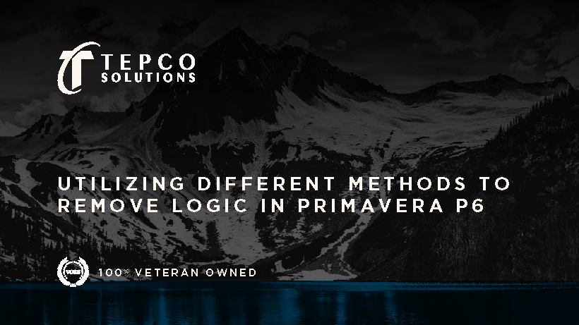 Utilizing Different Methods to Remove Logic in Primavera P6 | TEPCO ...