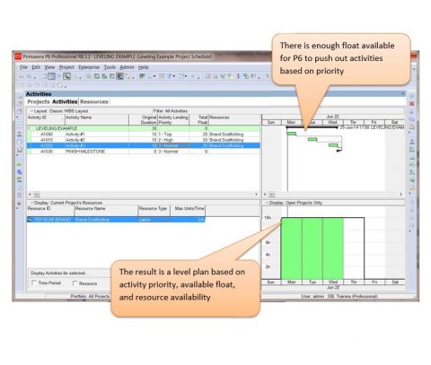 Using the Leveling Functionality in Primavera | TEPCO Solutions