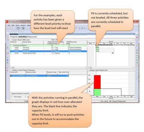 Using the Leveling Functionality in Primavera | TEPCO Solutions