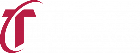 Project Controls & Management Services | TEPCO Solutions