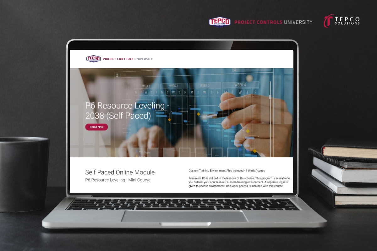 Mastering Resource Leveling in Primavera P6: Join Our Online Mini Course! - TEPCO Solutions